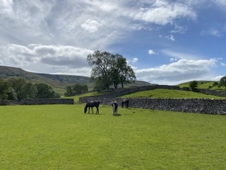 Steps to Devon – The Countryman's Daughter