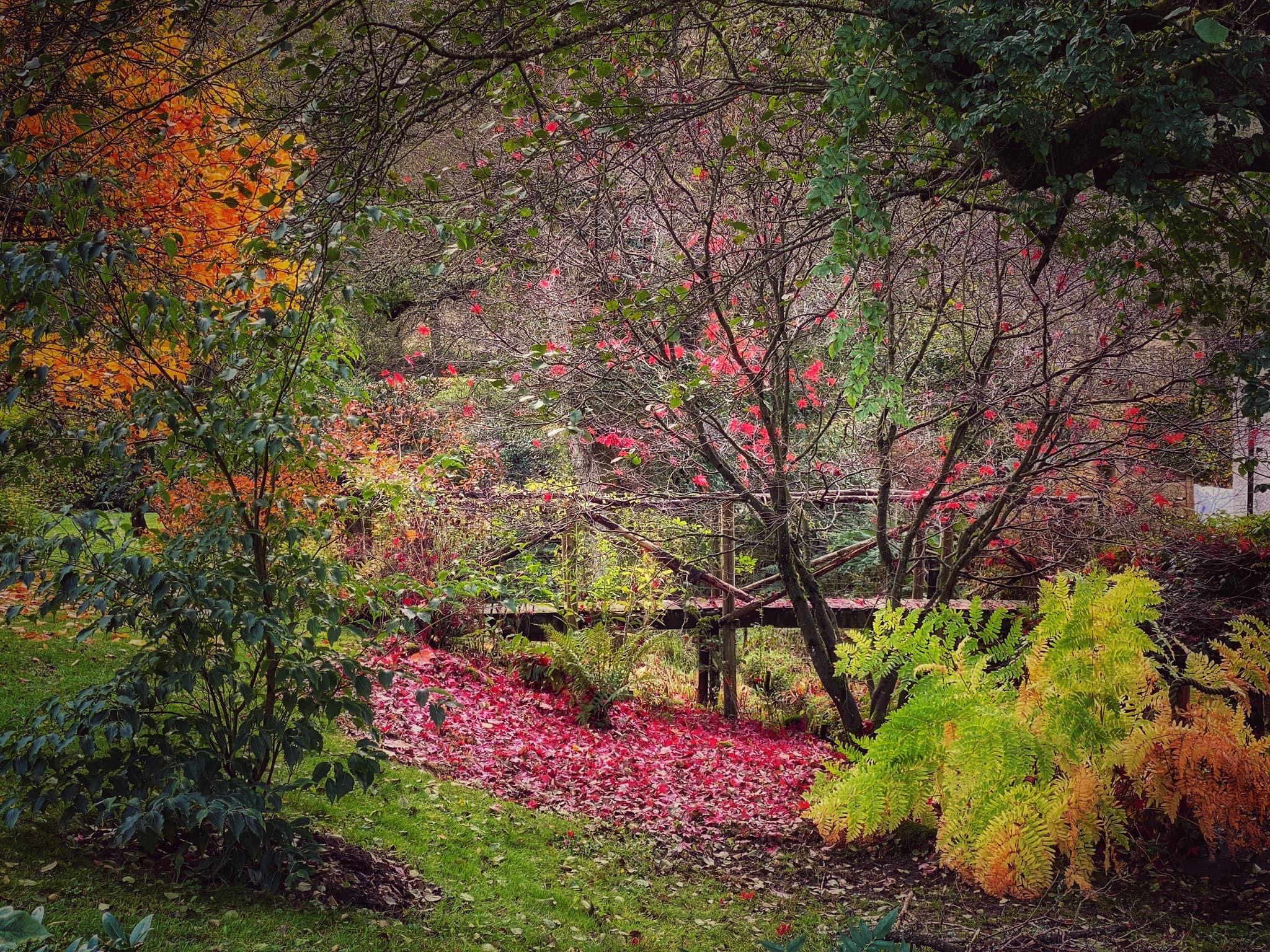 A matter of leaf and death – The Countryman's Daughter