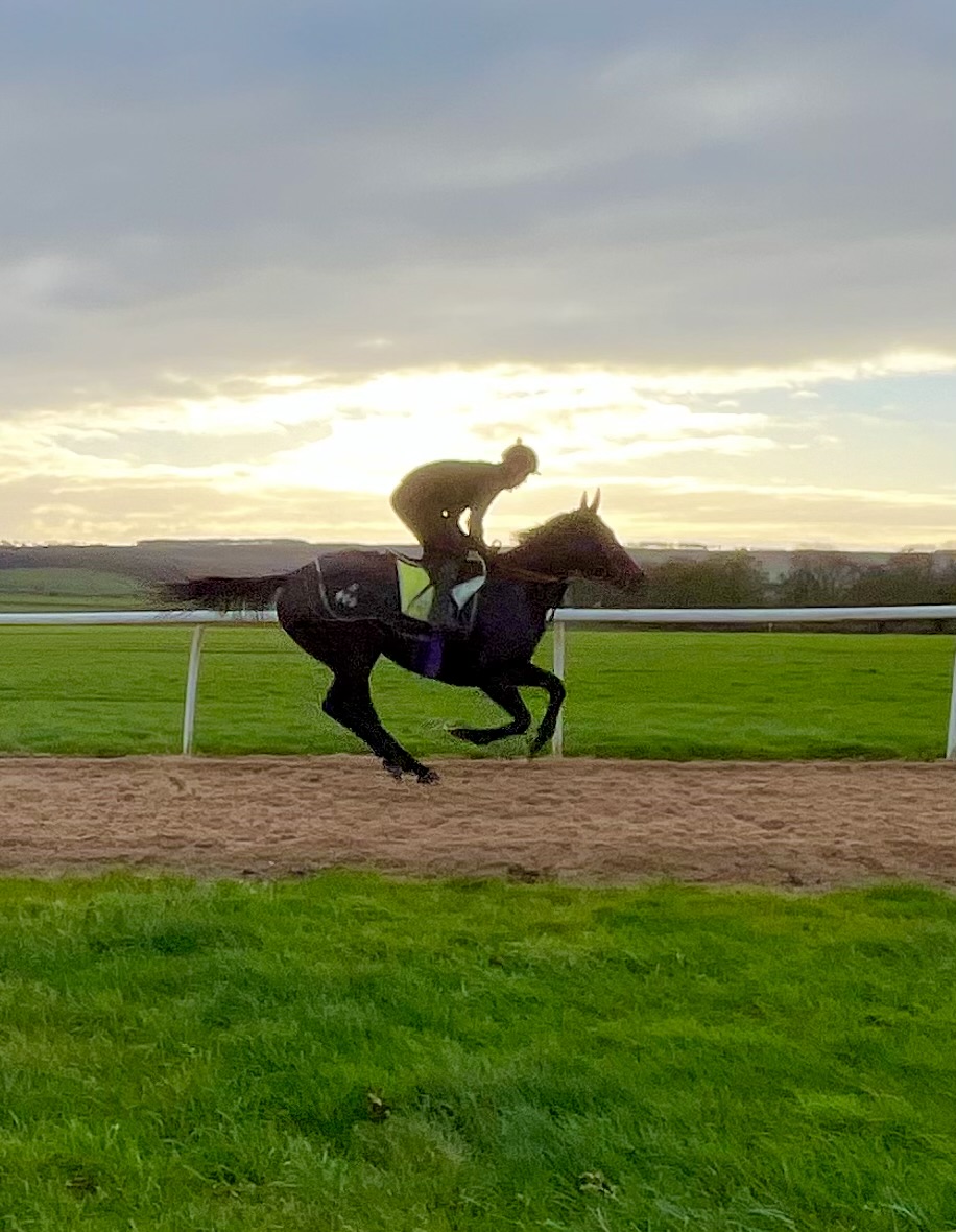 Race to the finish – The Countryman's Daughter