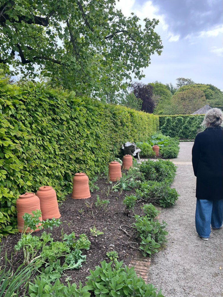 Growers forcing the issue – The Countryman's Daughter